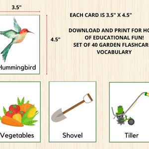 Montessori Garden Cards, Preschool Printable, Garden Flashcards ...