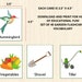Montessori Garden Cards, Preschool Printable, Garden Flashcards ...
