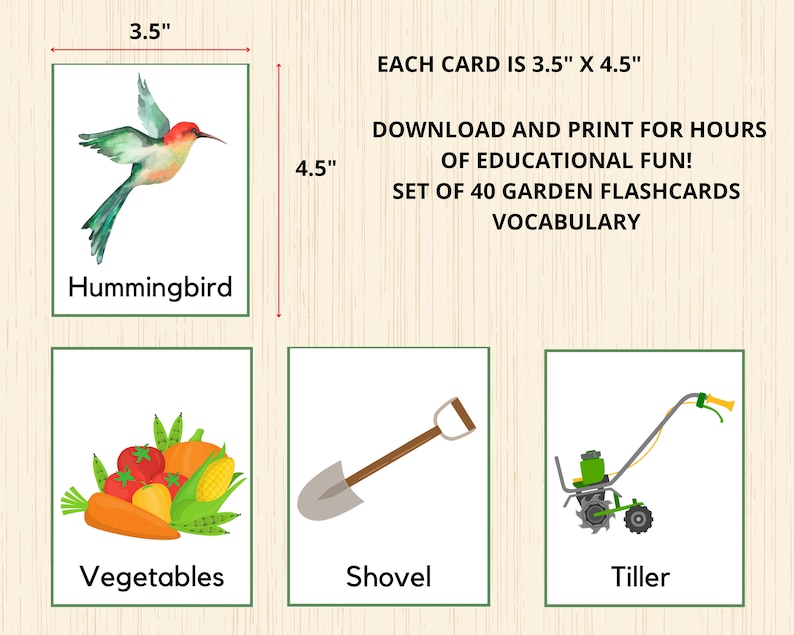 Montessori Garden Cards, Preschool Printable, Garden Flashcards ...