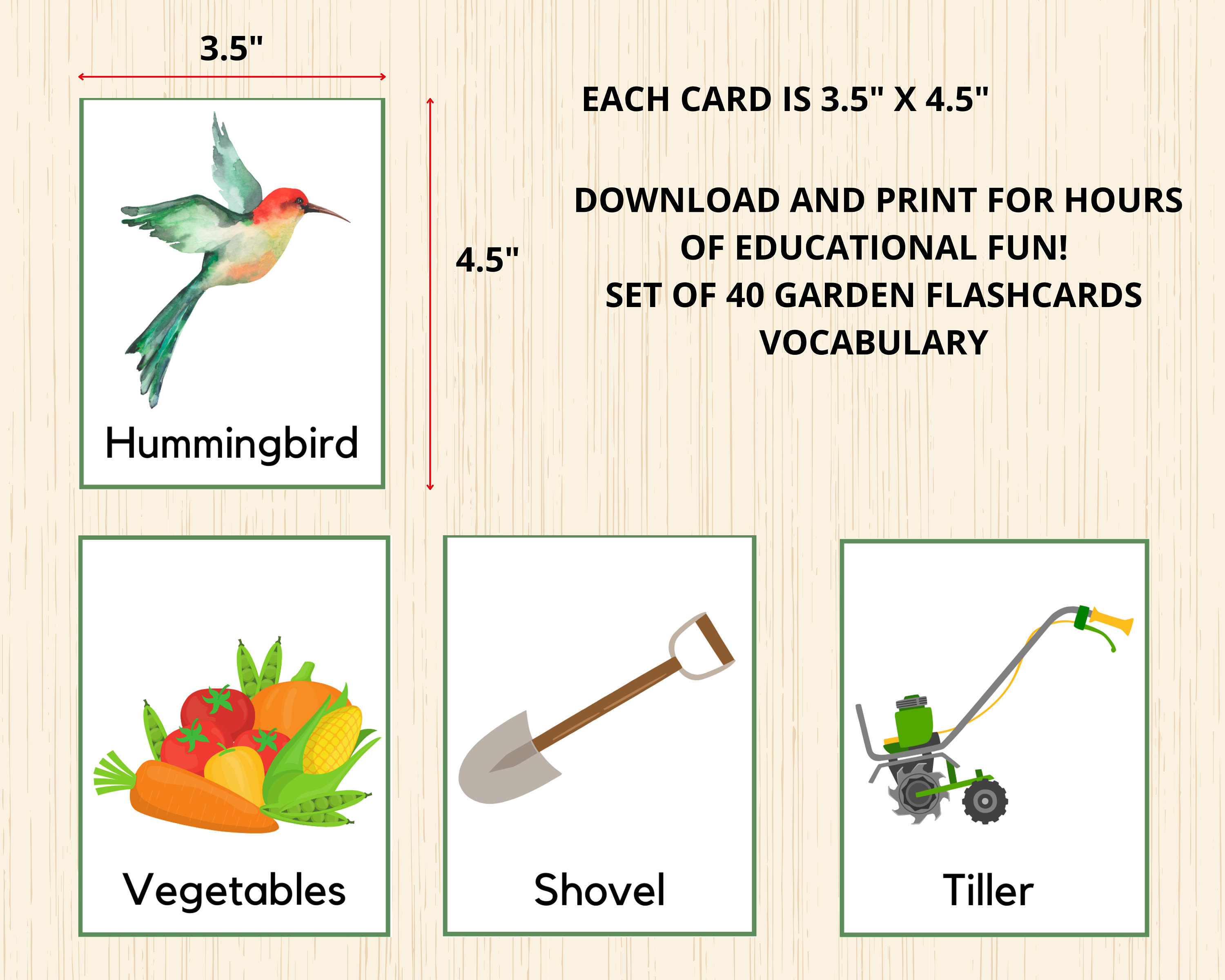 Montessori Garden Cards, Preschool Printable, Garden Flashcards ...
