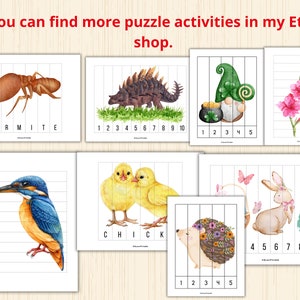 Birds Puzzle, Birds Number Sequence Puzzle,montessori Spring Math ...