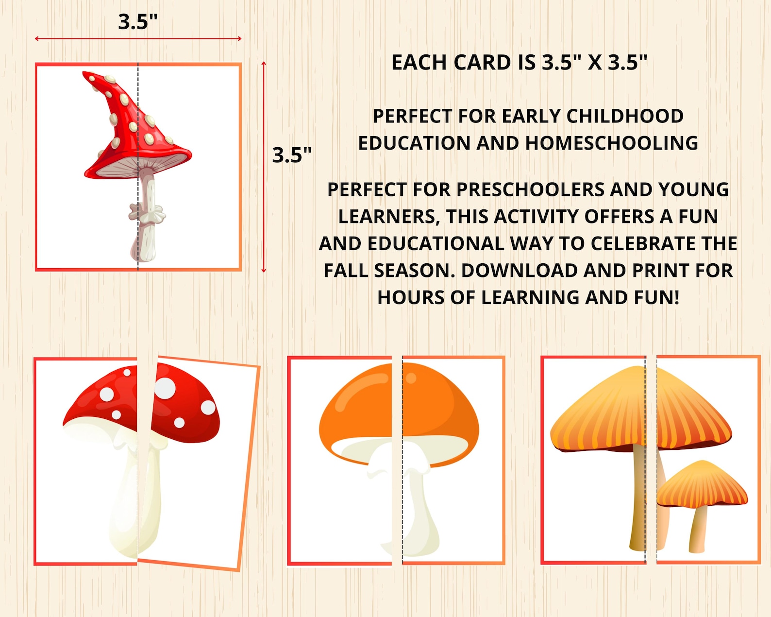 Fall Matching Mushroom Activity,symmetry Puzzle,2 Piece Puzzle,autumn ...