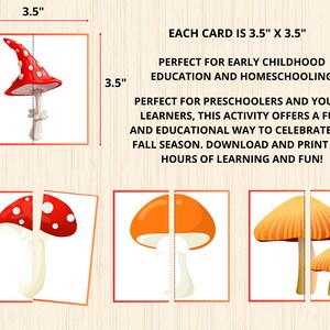 Fall Matching Mushroom Activity,symmetry Puzzle,2 Piece Puzzle,autumn ...