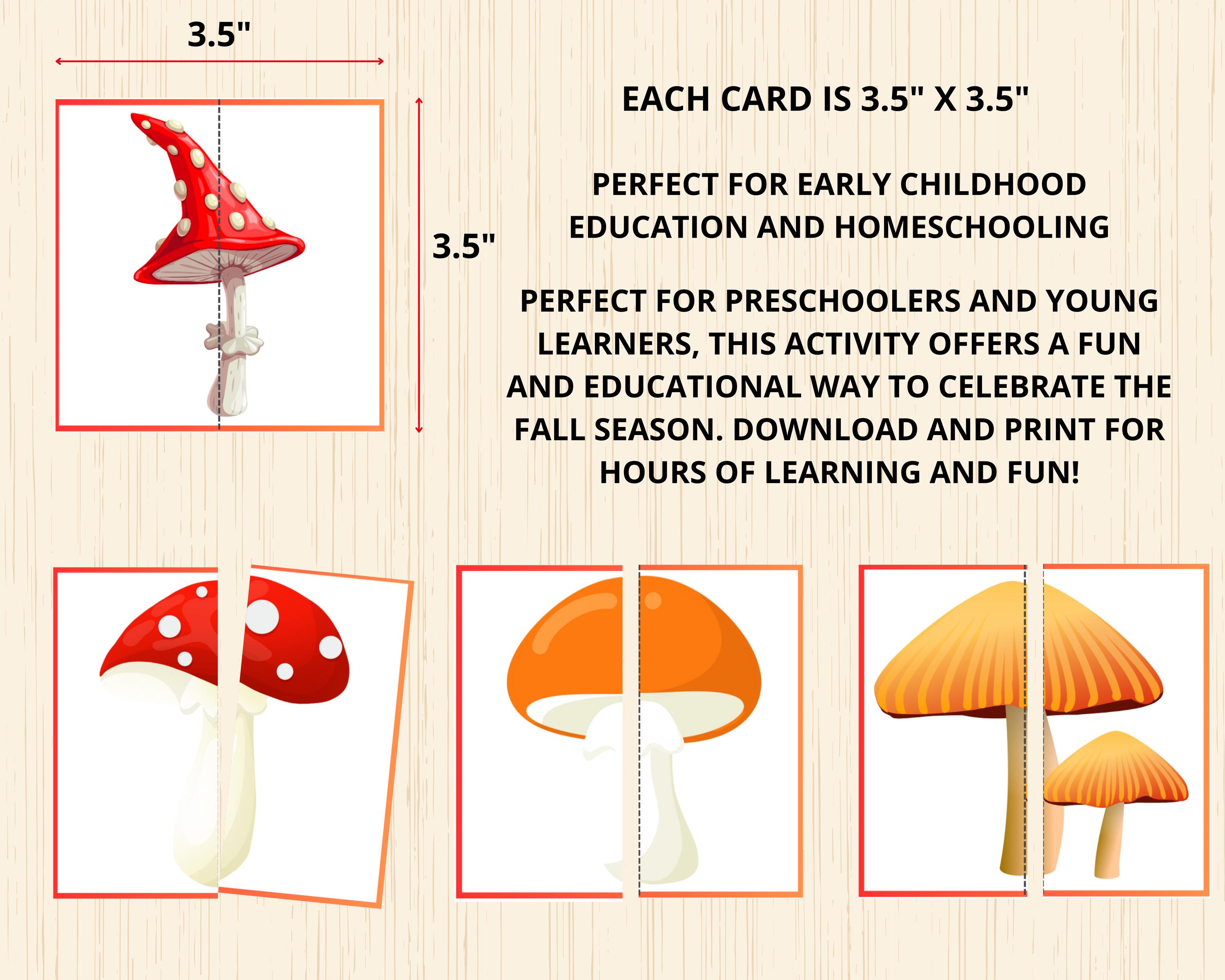 Fall Matching Mushroom Activity,symmetry Puzzle,2 Piece Puzzle,autumn ...