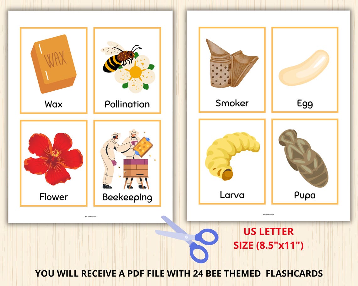 Bee Flashcards,honeybee Flashcards,nature Cards,bee Unit Study,insect ...