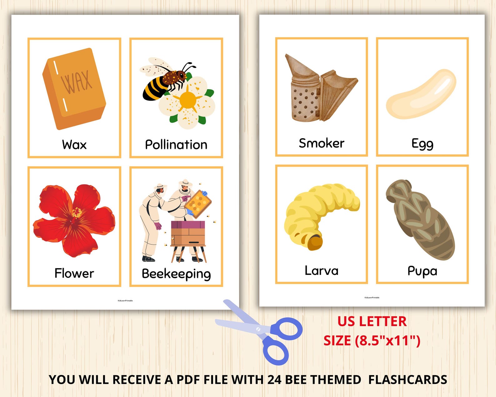 Bee Flashcards,honeybee Flashcards,nature Cards,bee Unit Study,insect ...