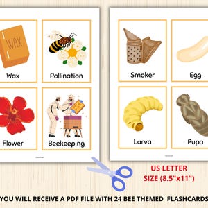 Bee Flashcards,honeybee Flashcards,nature Cards,bee Unit Study,insect ...
