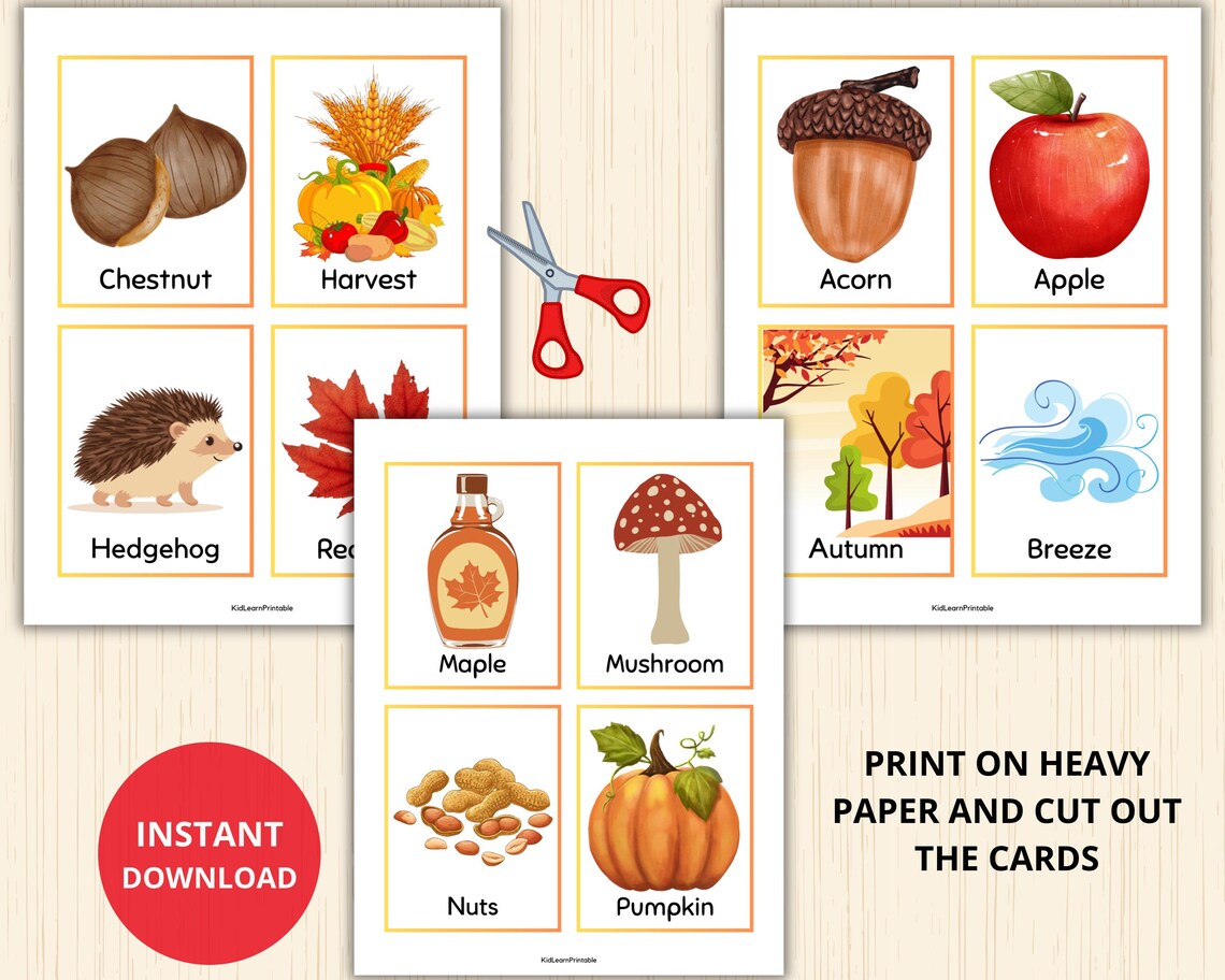Autumn Flashcard,fall Vocabulary,nature Cards,autumn Montessori,autumn ...