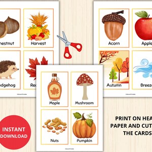 Autumn Flashcard,fall Vocabulary,nature Cards,autumn Montessori,autumn ...