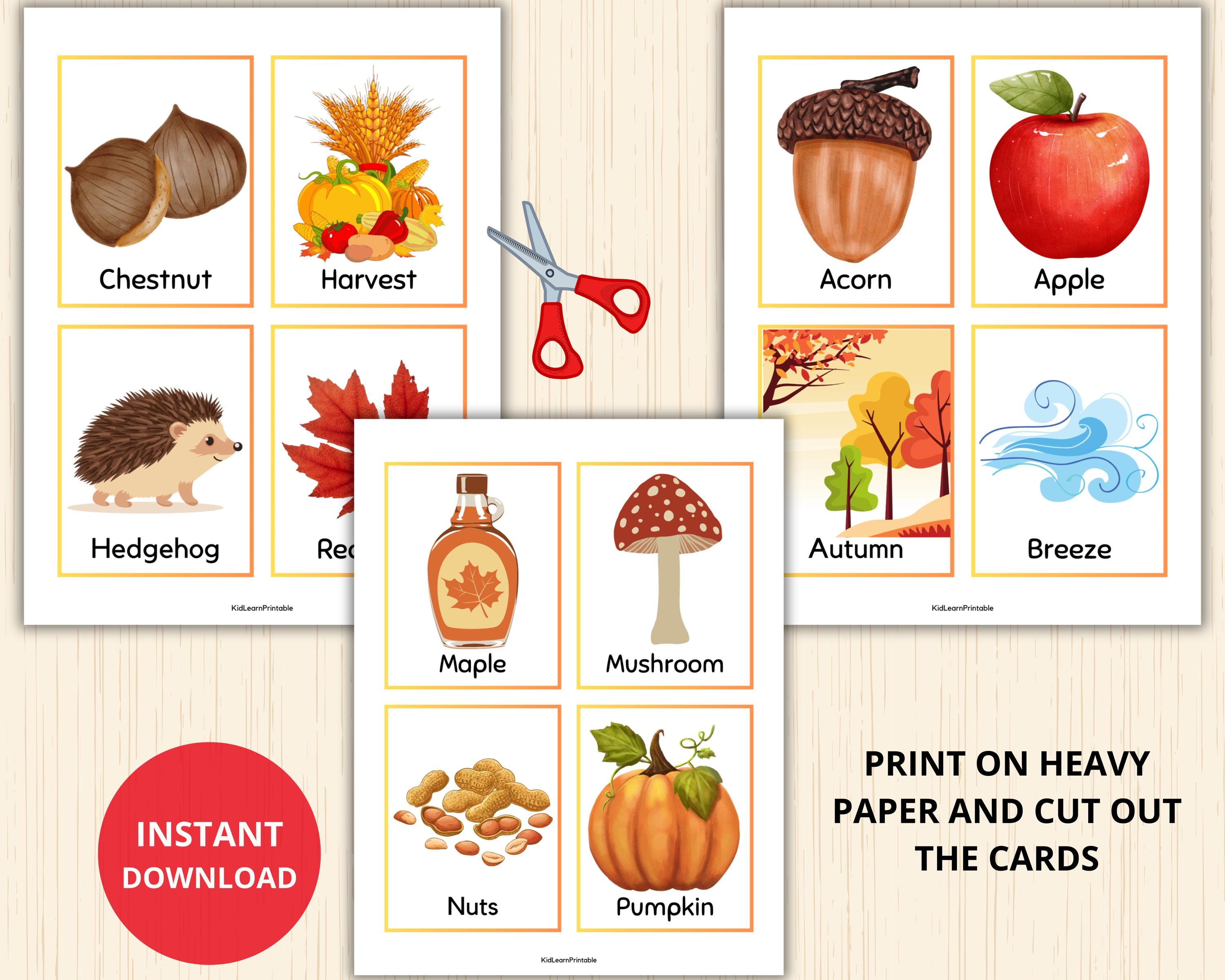Autumn Flashcard,fall Vocabulary,nature Cards,autumn Montessori,autumn ...
