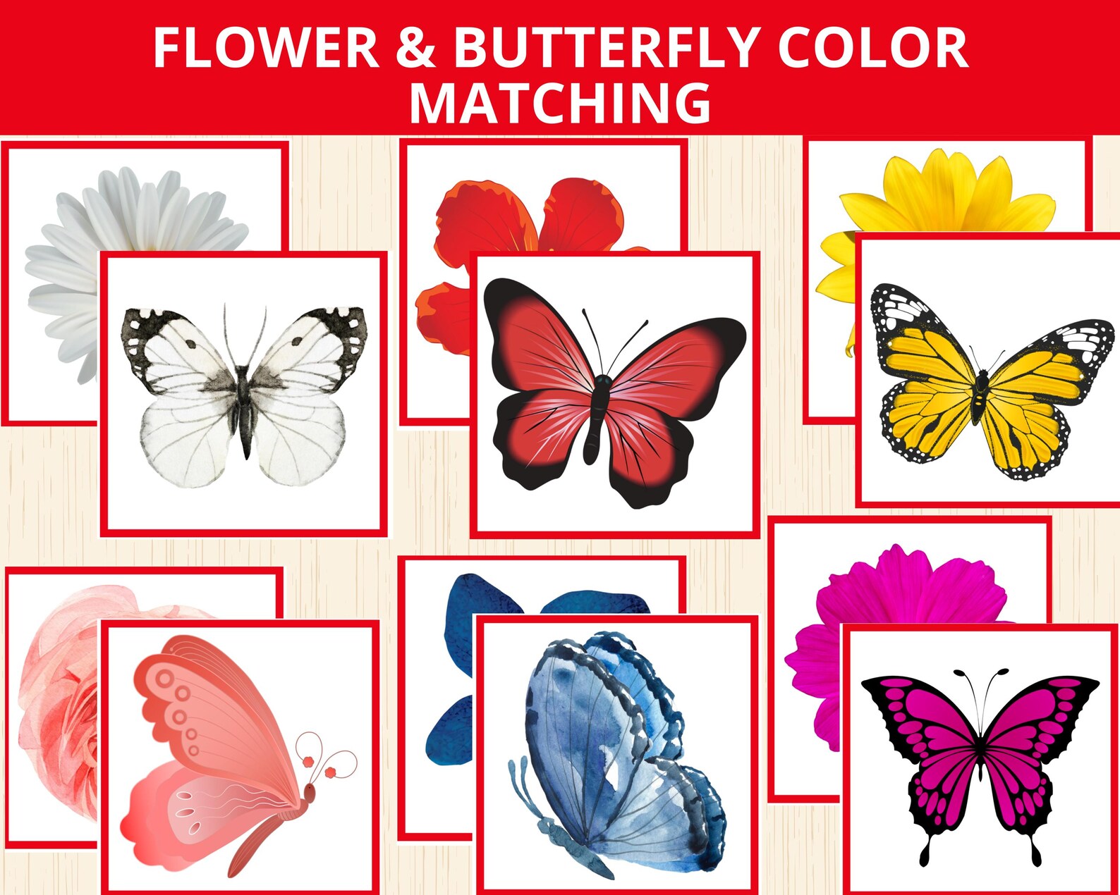 Flower Butterfly Color Matching,color Matching Game,spring Activity ...