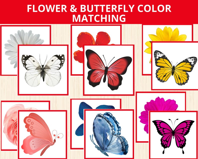 Flower Butterfly Color Matching,color Matching Game,spring Activity ...