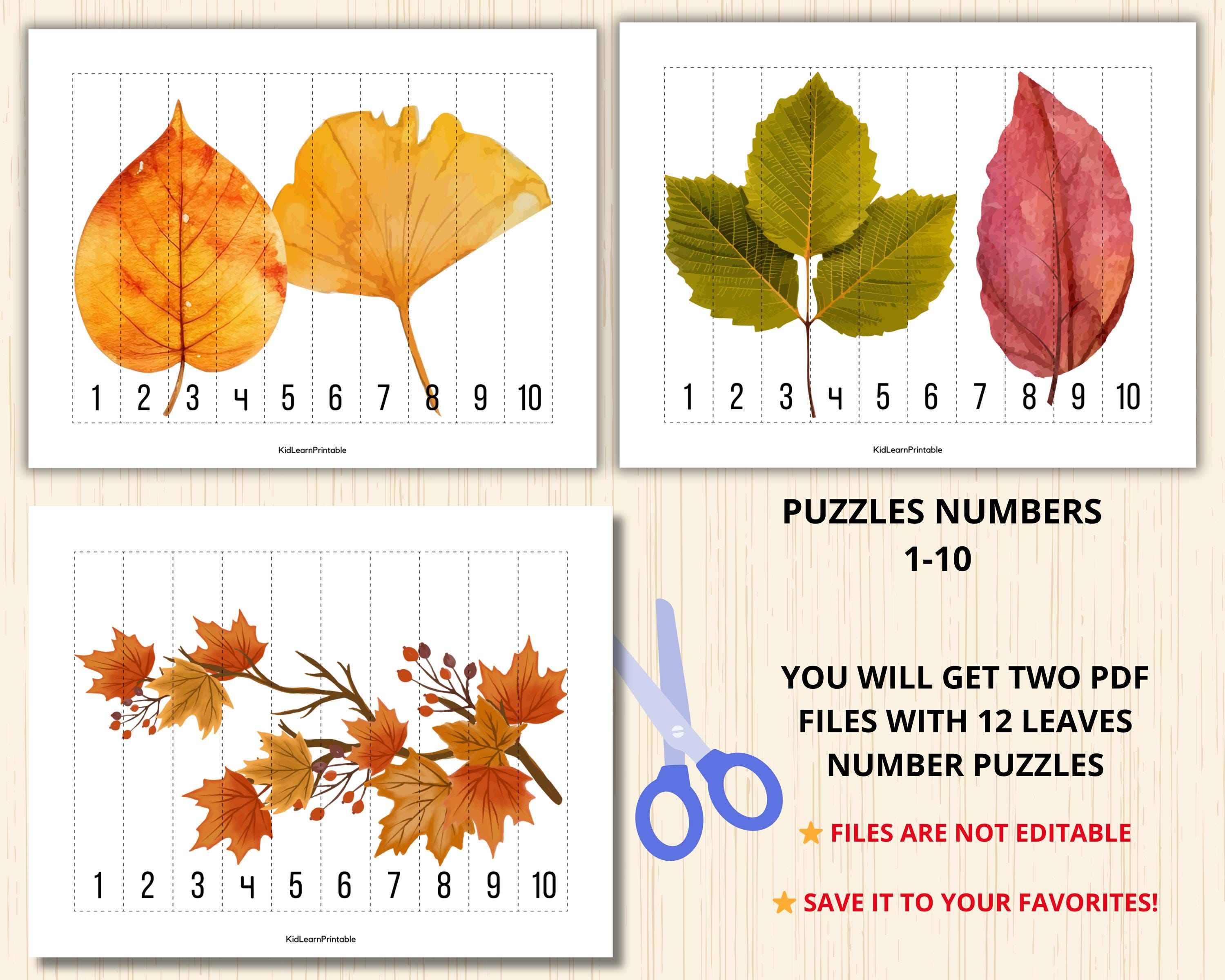 Fall Leaves Number Puzzles,autumn Preschool Math Activity,leaf Puzzle ...