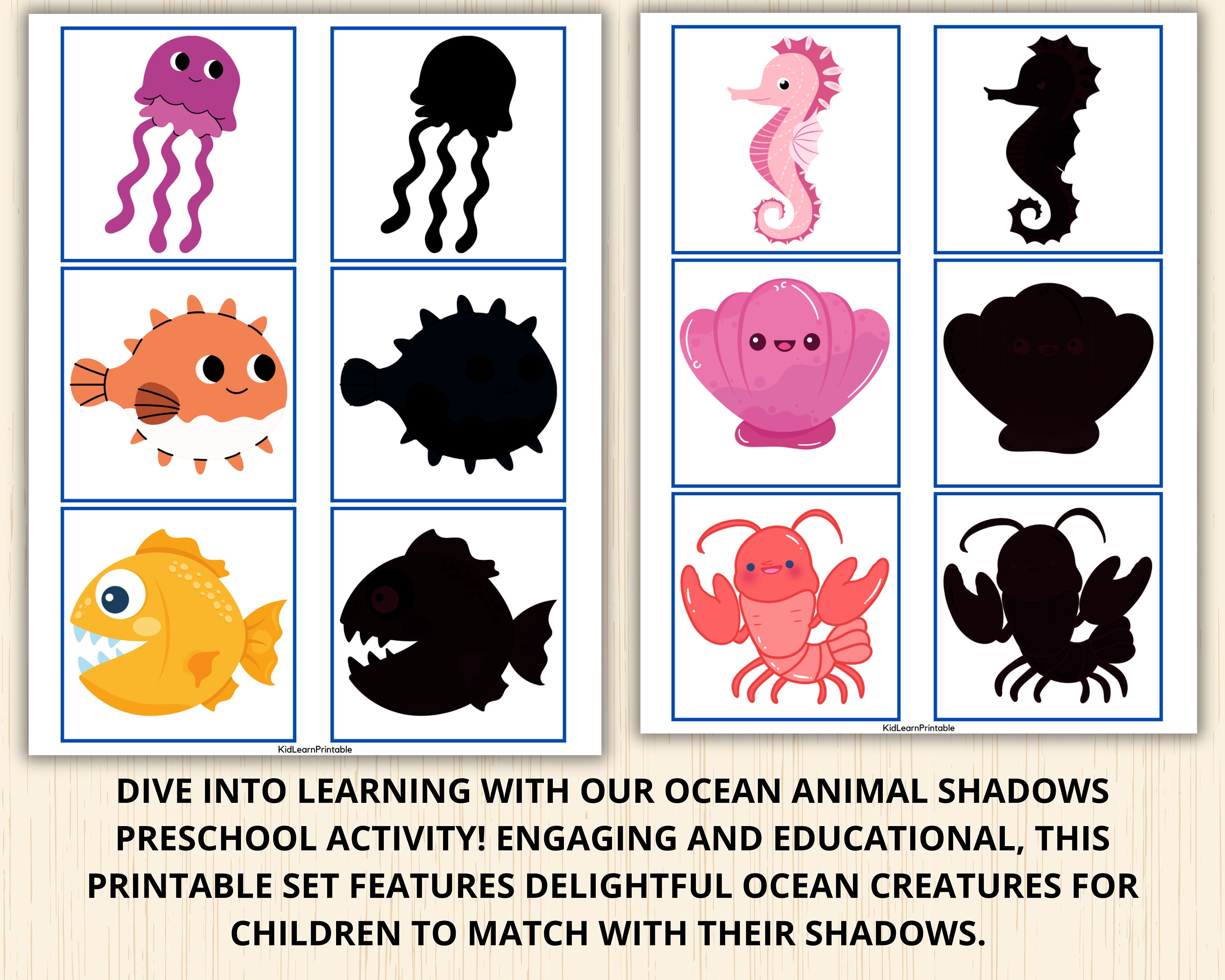 Ocean Animals Shadow Matching Cards,sea Animals Shadow,sea Animals ...