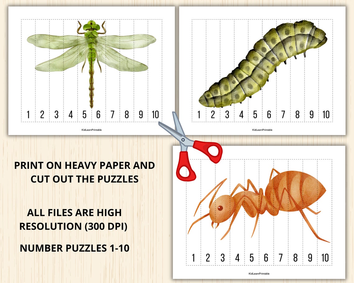 Insect Preschool,insect Number Puzzles,number Sequence,numbers 1-10 ...