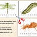 Insect Preschool,insect Number Puzzles,number Sequence,numbers 1-10 ...