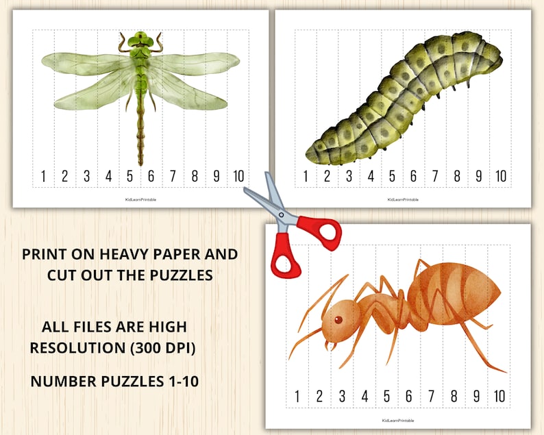 Insect Preschool,insect Number Puzzles,number Sequence,numbers 1-10 ...