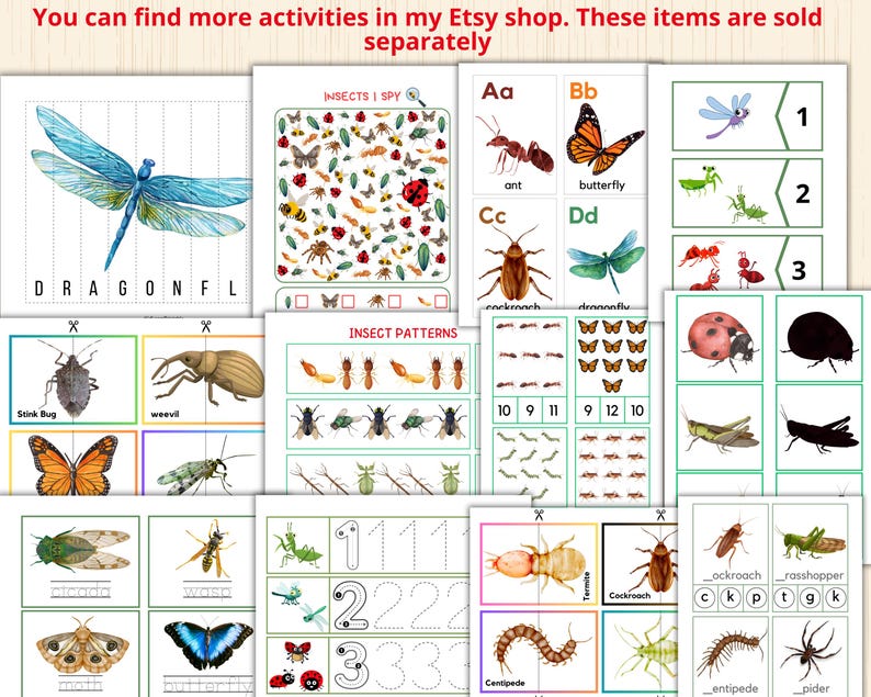 Bugs Sorting Activity,bug Habitat Activity,bug Classification Game ...