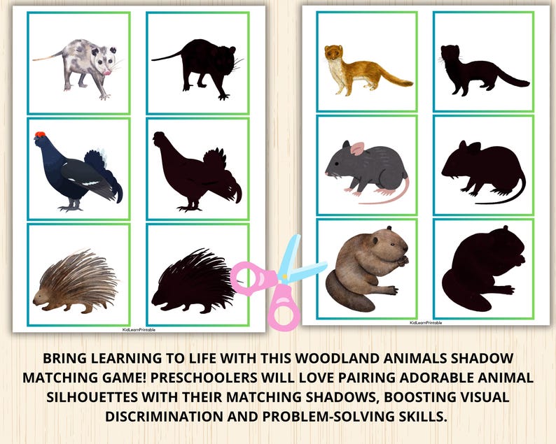 Woodland Animals Shadow Matching,forest Animals Cards,preschool ...
