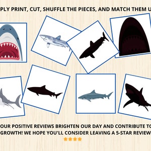 Shark Shadow Matching Game,animals Matching,animal Matching Cards,shark ...