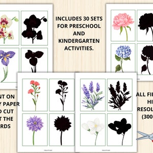 Flower Shadow Matching Card,flower Flashcards,spring Shadow,matching ...