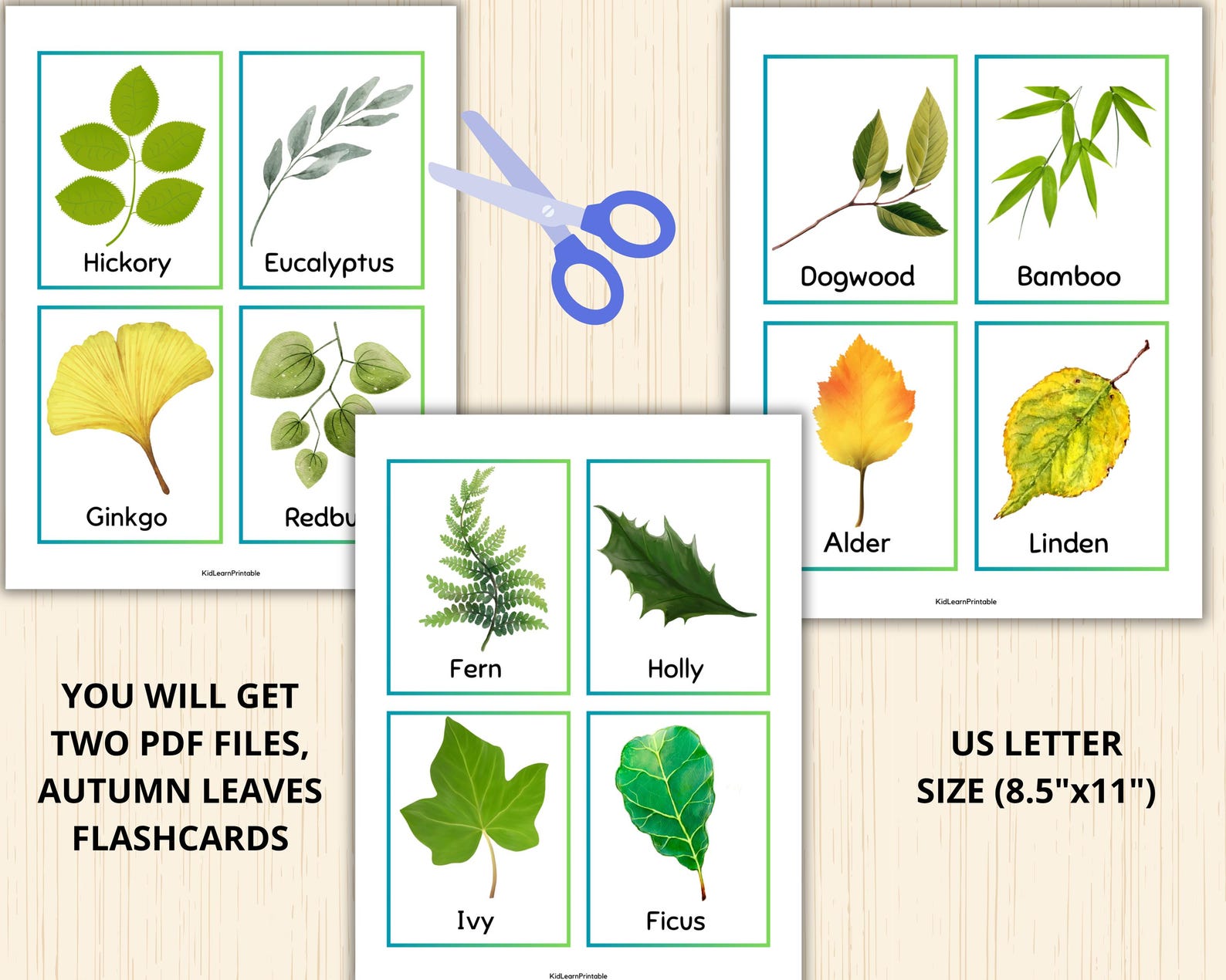 Autumn Leaves Flashcards,fall Montessori,homeschooling,leaf ...