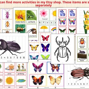 Beetle Number Puzzle,beetle Matching Activity,beetle Symmetry Puzzle ...