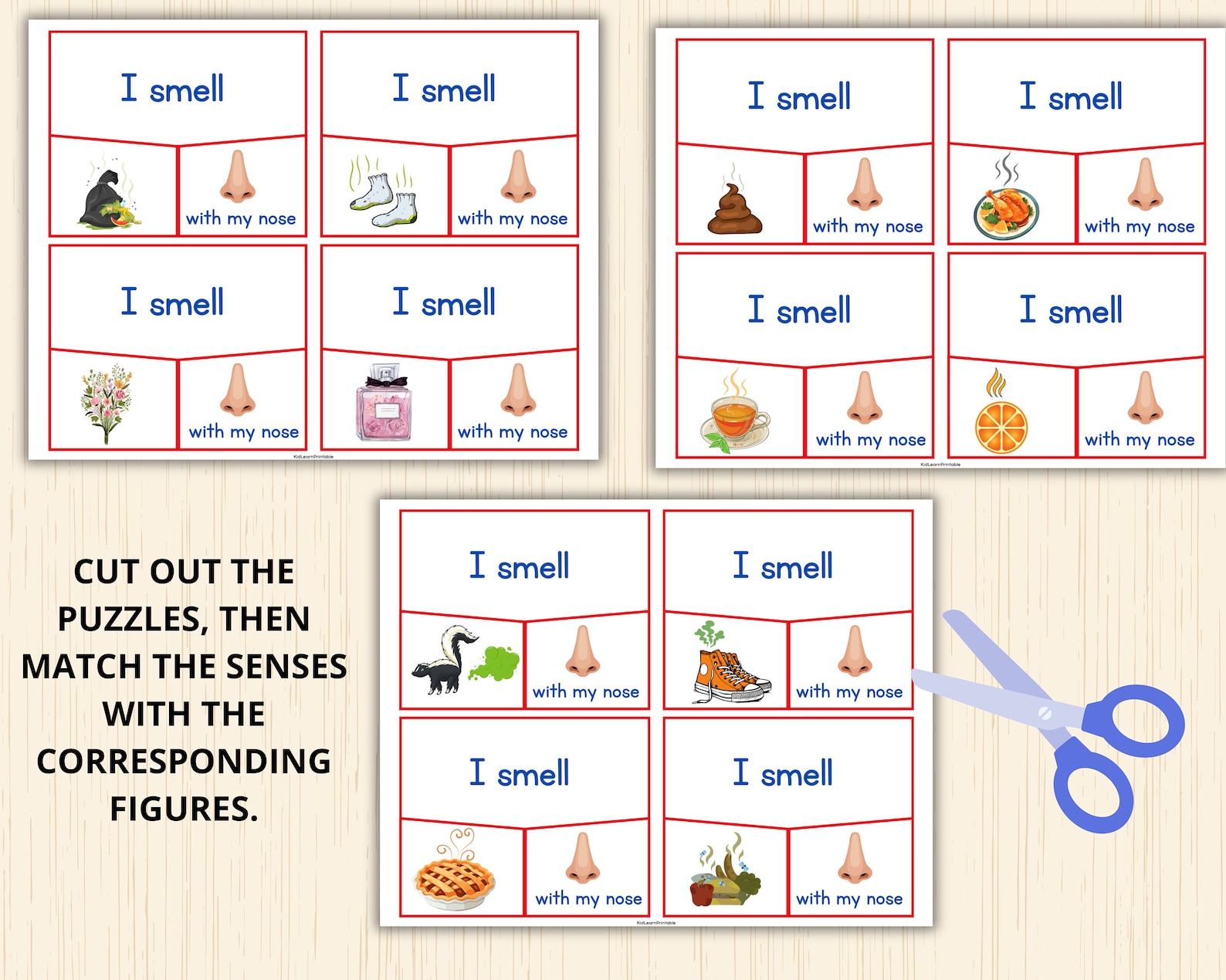Five Senses Sorting Activity,five Senses Puzzle,5 Sense Activities,5 ...