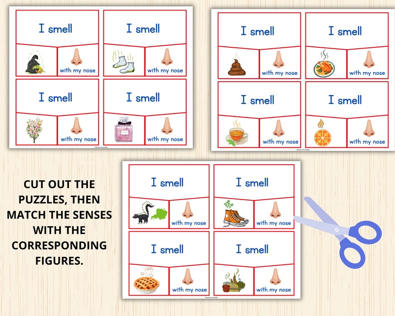 Five Senses Sorting Activity,five Senses Puzzle,5 Sense Activities,5 ... Five Senses Sorting Activity,five Senses Puzzle,5 Sense Activities,5 ...