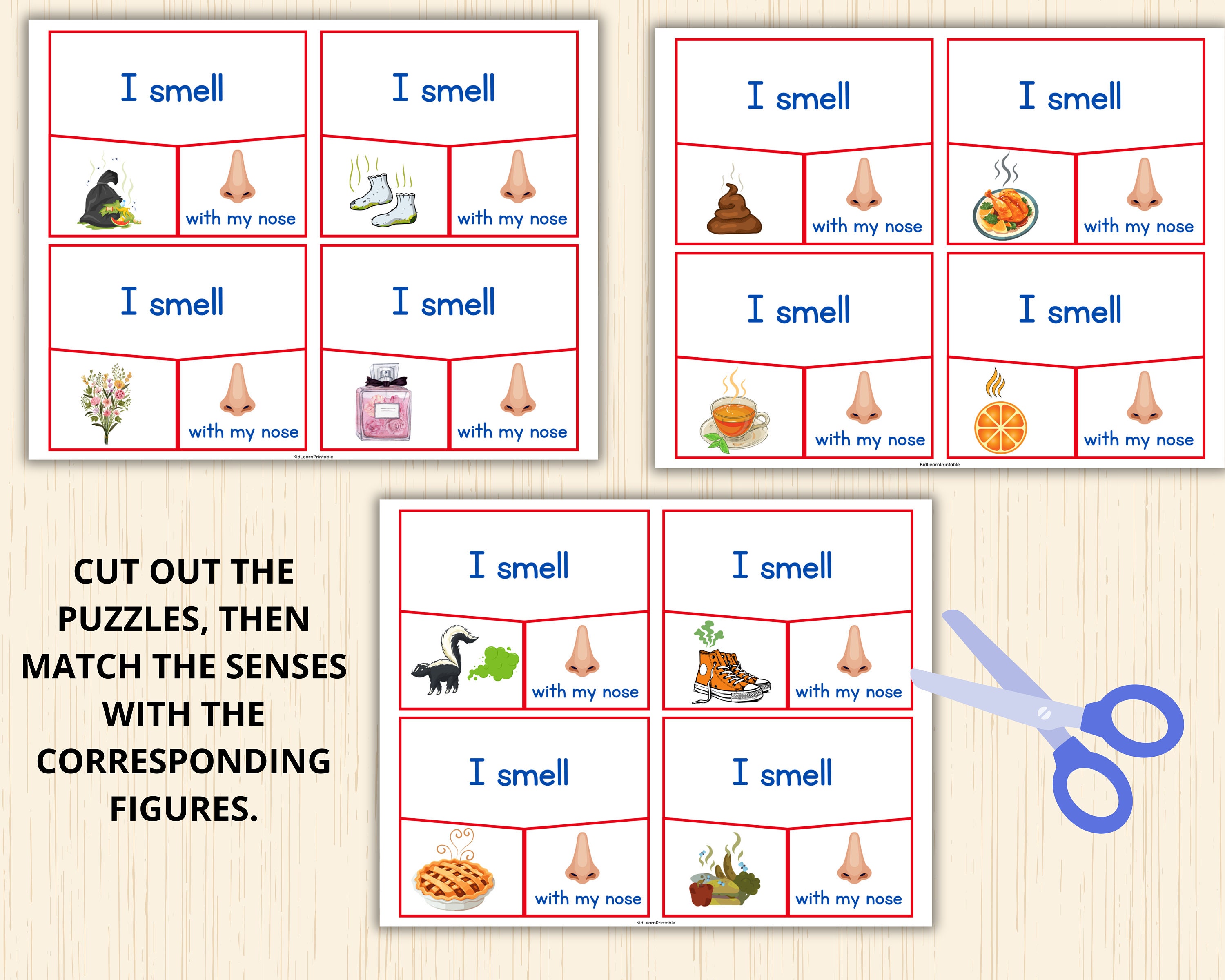 Five Senses Sorting Activity,five Senses Puzzle,5 Sense Activities,5 ...