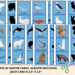 Arctic Animals Bundle,polar Animals Preschool Activity,arctic Animal ...