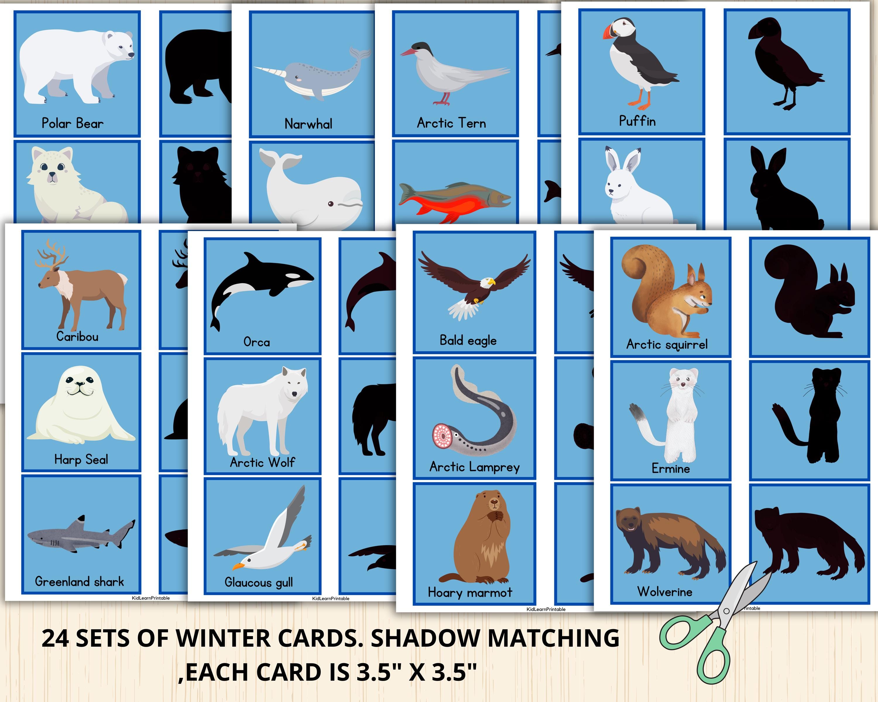 Arctic Animals Bundle,polar Animals Preschool Activity,arctic Animal ...
