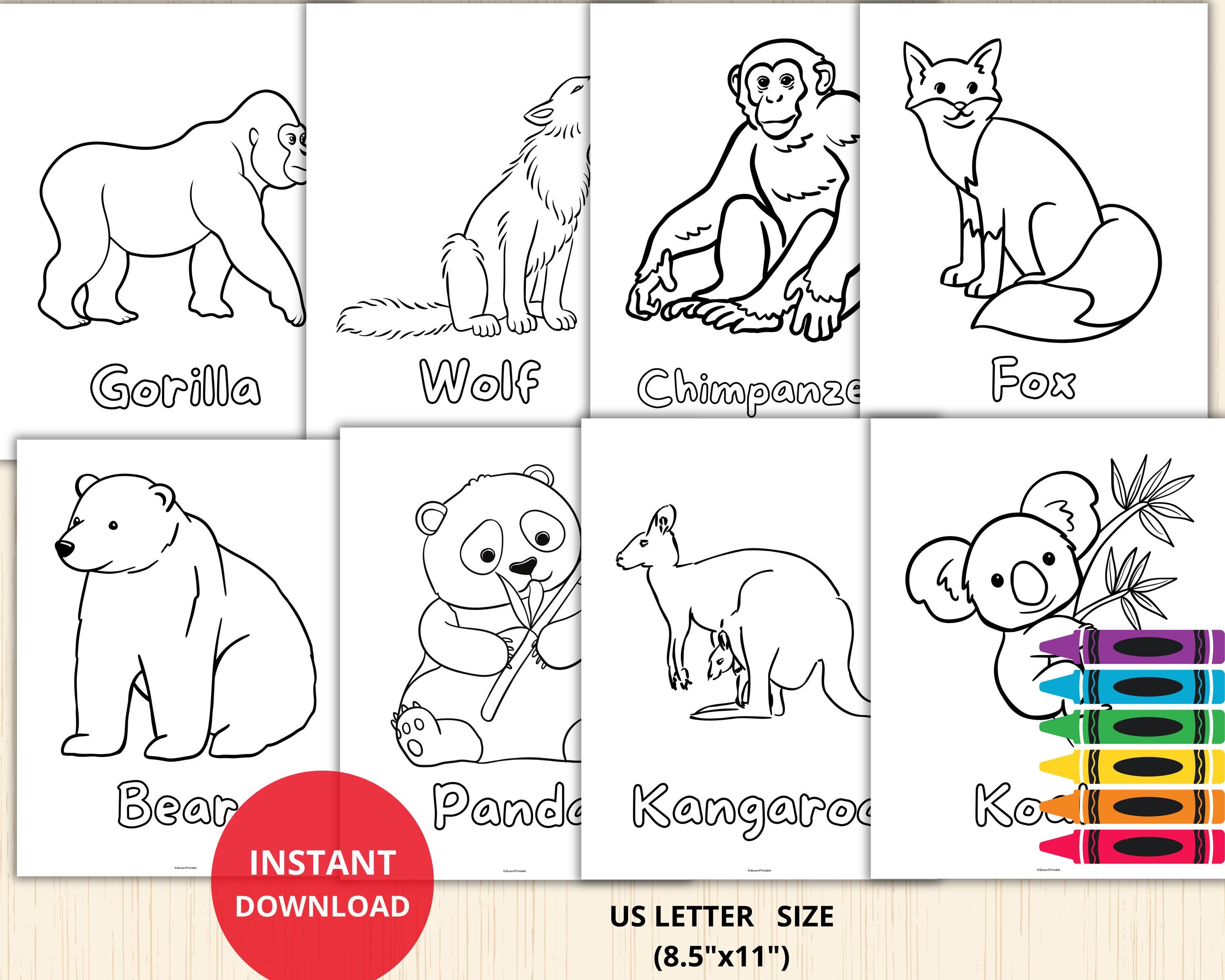 Wild Animals Coloring Pages,zoo Animals Coloring Pages,animal Coloring ...