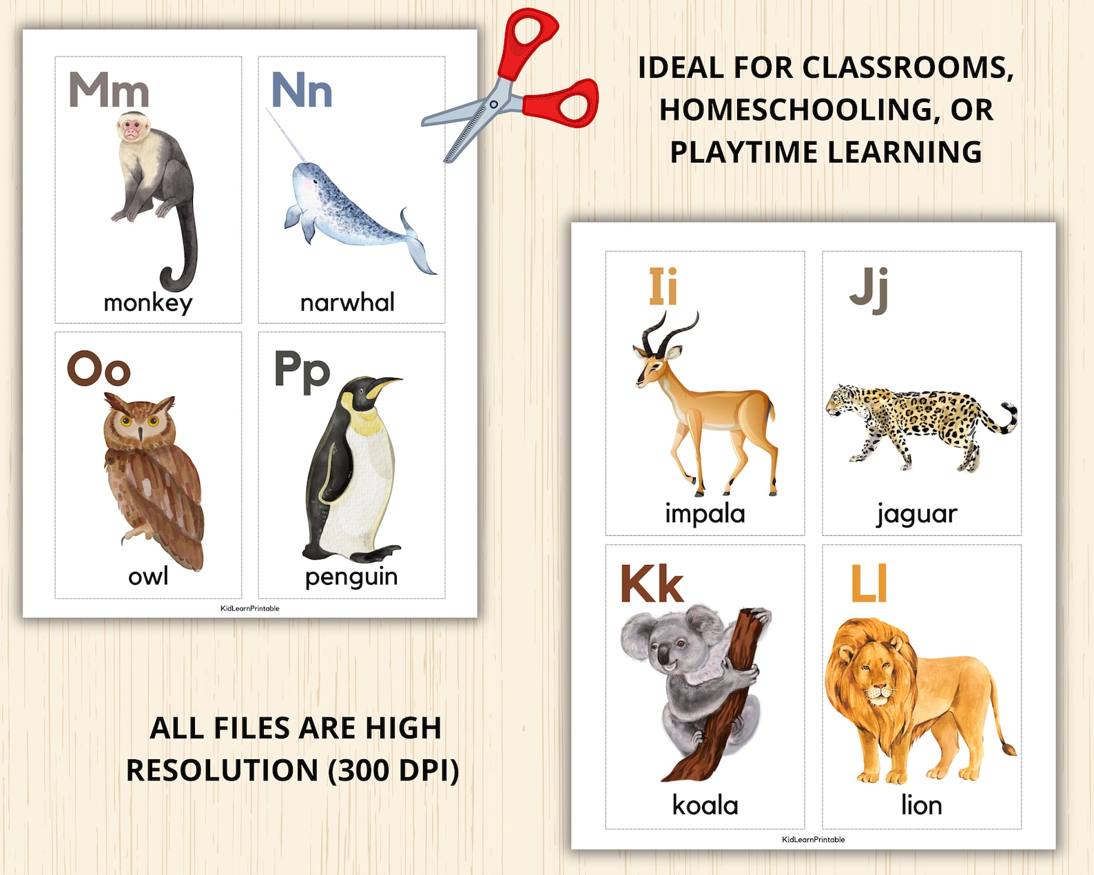 Wild Animals Flashcards,jungle Animals Alphabet,wild Animals Vocabulary ...