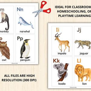 Wild Animals, Jungle Alphabet, Wild Animals Vocabulary,zoo Animals ...