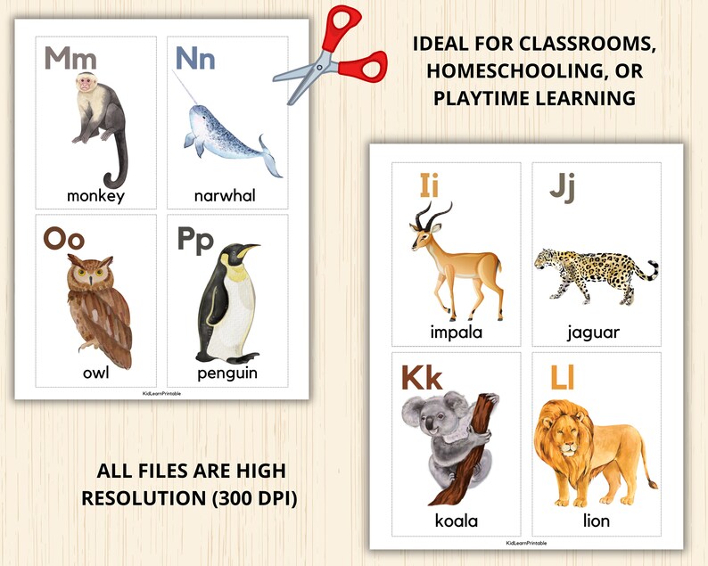 Wild Animals Flashcards,jungle Animals Alphabet,wild Animals Vocabulary ...