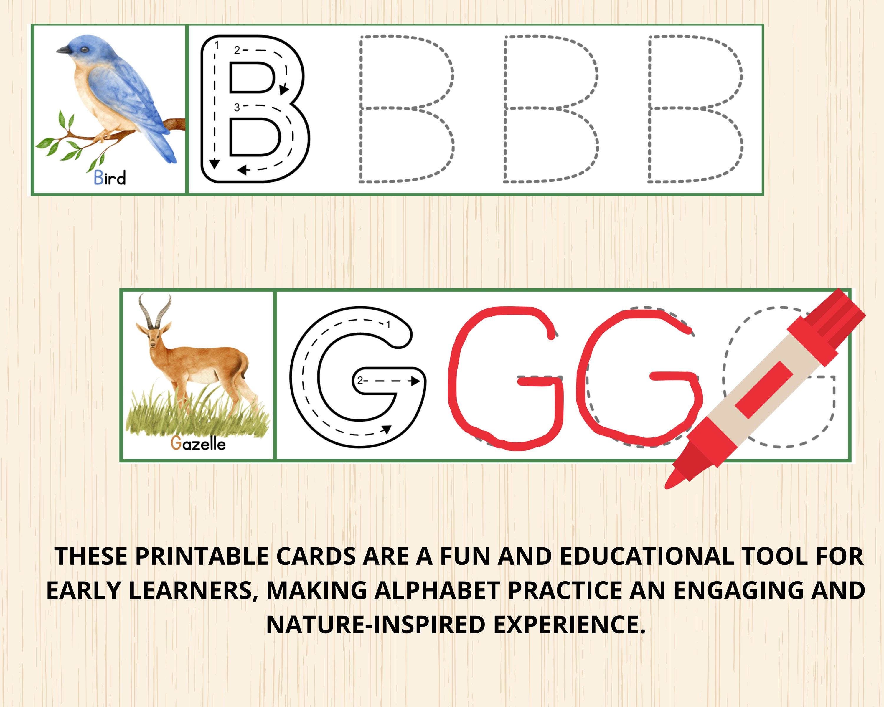 Nature Alphabet Cards Tracing Letters,nature Alphabet Cards,letter ...