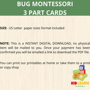 Insect Montessori Printable 3 Part Cards,bug Montessori 3 Part Cards ...