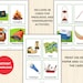 Camping Flash Cards,alphabet Flashcards,kindergarten Prek,seasonal ...