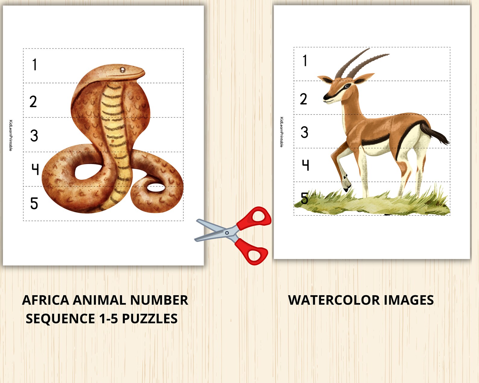 African Animal Number Sequence 1-5 Puzzles,african Animals Montessori ...