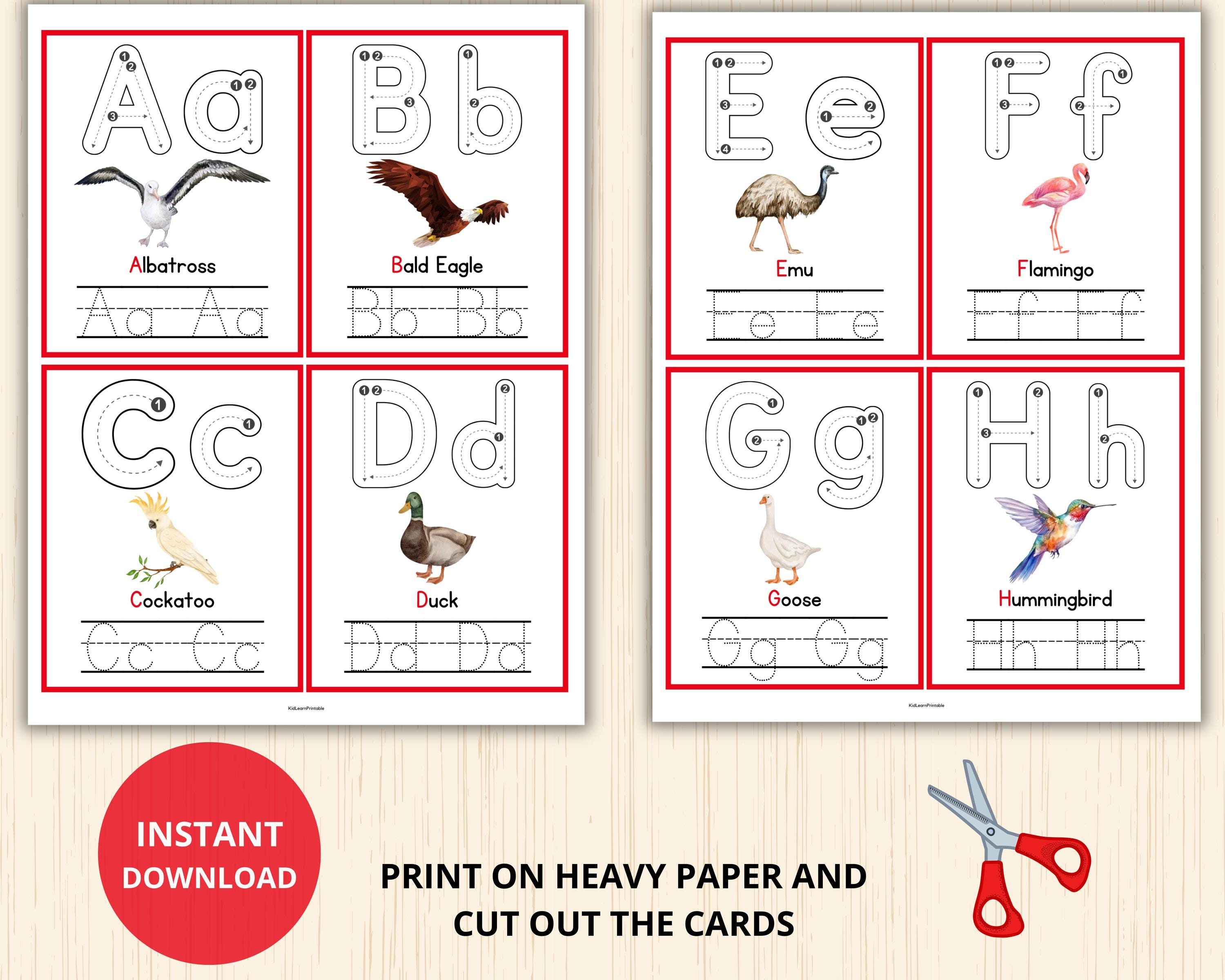 Bird Alphabet Tracing Card,birds Letter Tracing,animals Alphabet ...