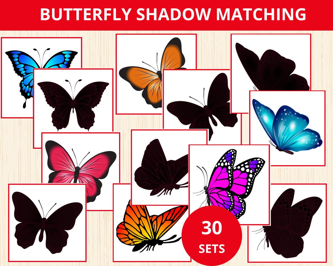 Butterfly Shadow Matching Cards,butterfly Matching Activity,butterfly ...
