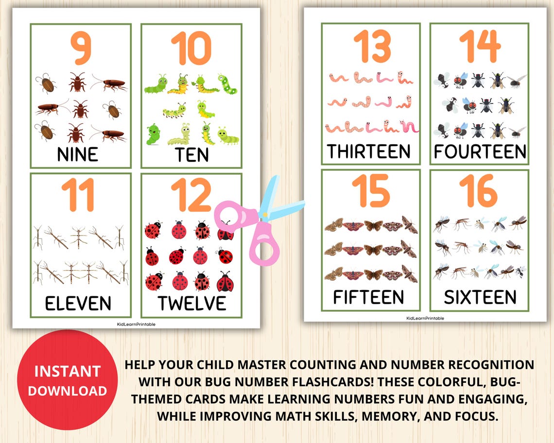 Bugs Number Flashcard,minibeast Number Cards,insect Preschool,nature ...