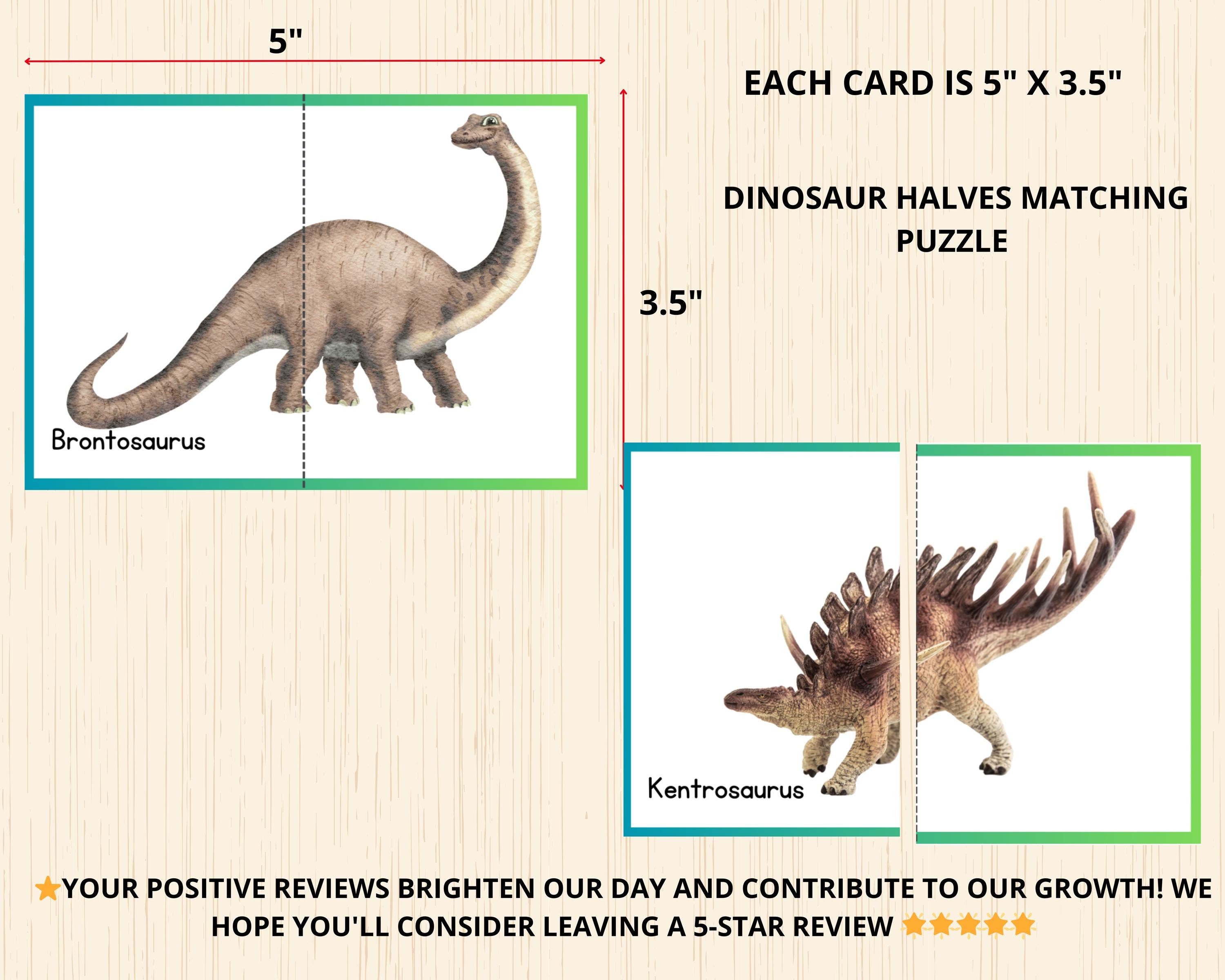 Dinosaur Flashcard,halves Matching,dinosaur Montessori,dinosaur ...