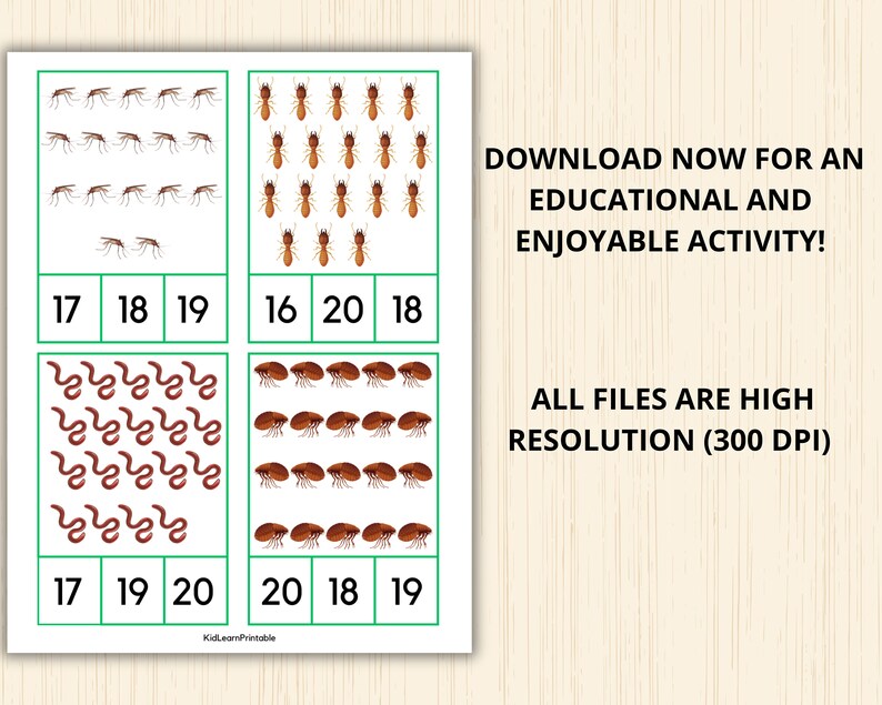 Insect Count and Clip Cards,numbers 1-20,insect Montessori,counting ...