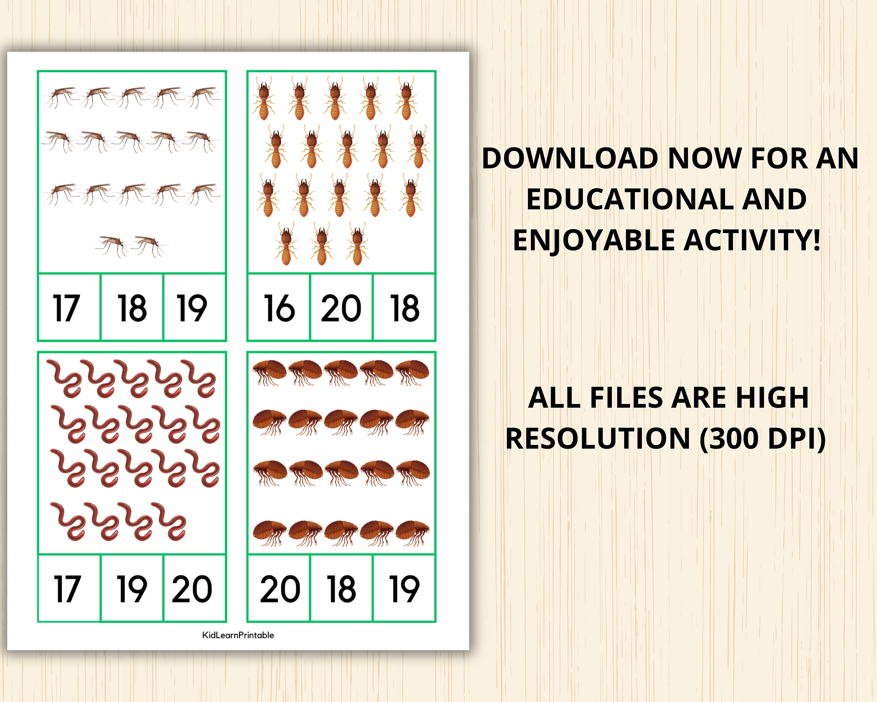 Insect Count and Clip Cards,numbers 1-20,insect Montessori,counting ...