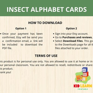 Insect Flashcards, Bug Alphabet,insect Alphabet Cards, Alphabet Flash ...