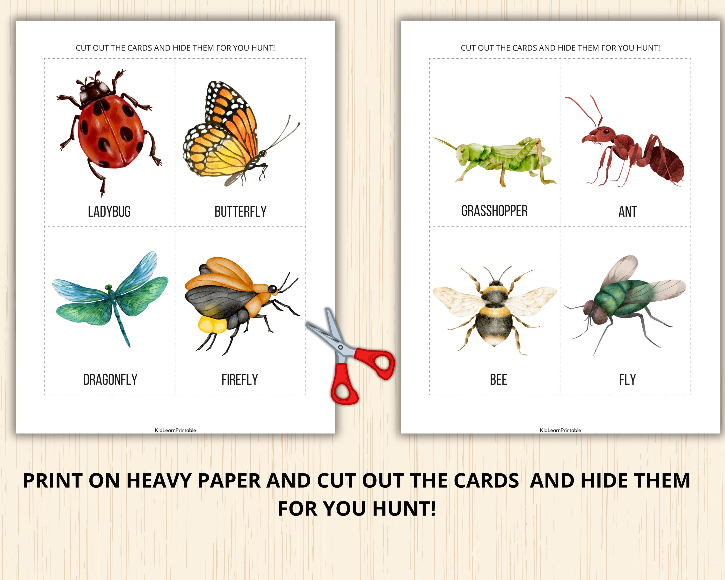 Bug Scavenger Hunt,insect Scavenger Hunt,nature Scavenger Hunt,indoor ...