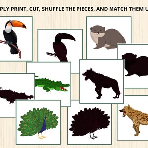 Zoo Animals Shadow Matching Game,wild Animals Matching,animal Matching ...