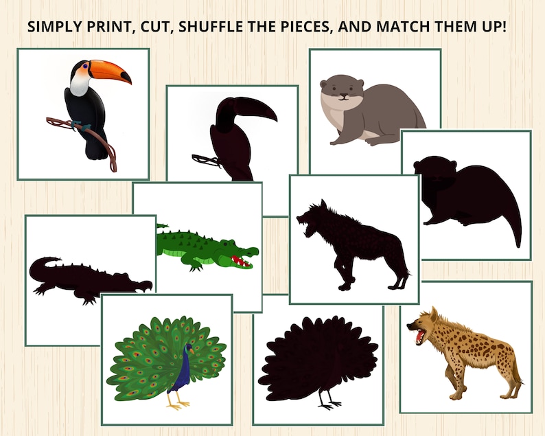 Zoo Animals Shadow Matching Game,wild Animals Matching,animal Matching ...